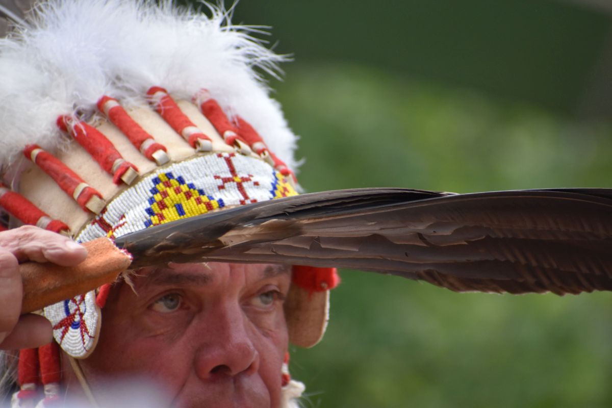 Über die Bären-REHA