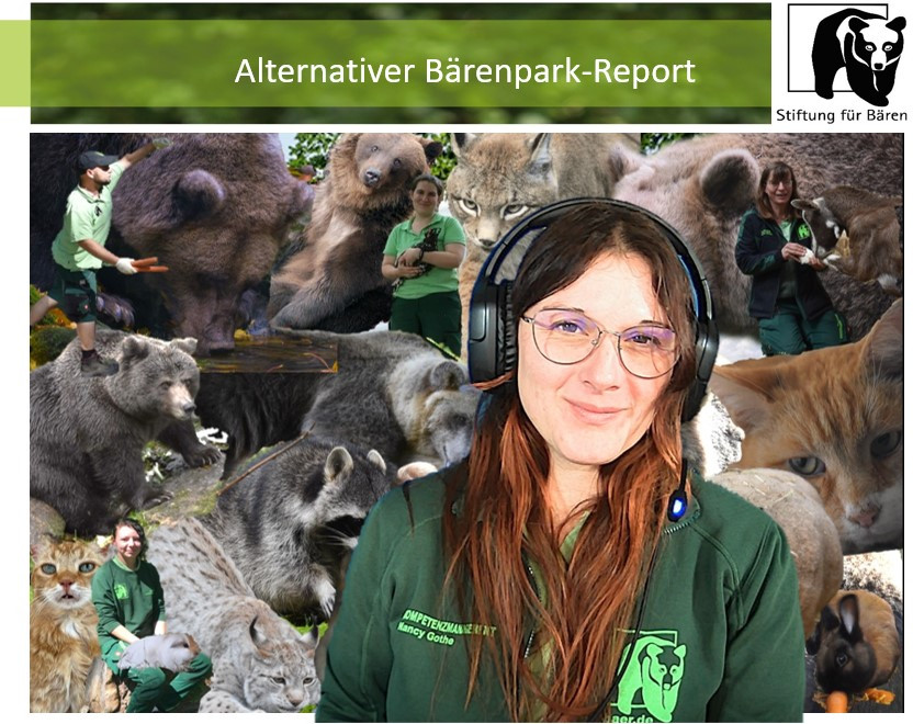 Zimmer frei im Bärenpark