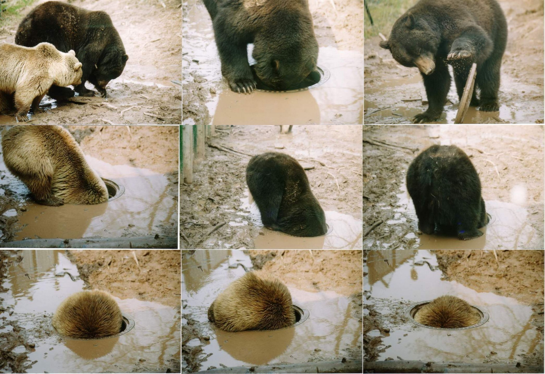 Erinnerungen zum 4. Advent | EMMA und MAX