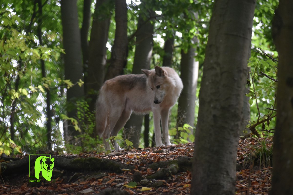 Moment der Woche KW 35 | RAIK hat was entdeckt